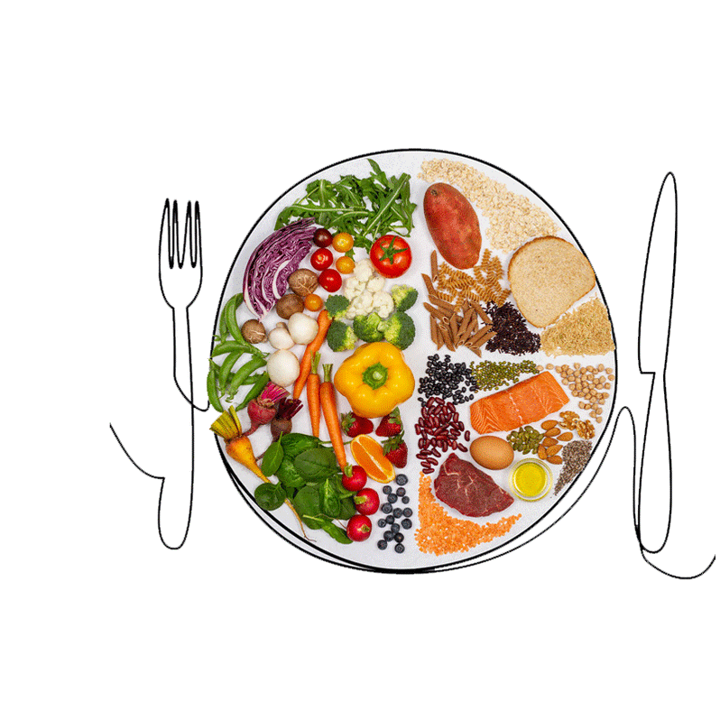 Learning Center for FoodService Equipment-Commercial Kitchen Products ...